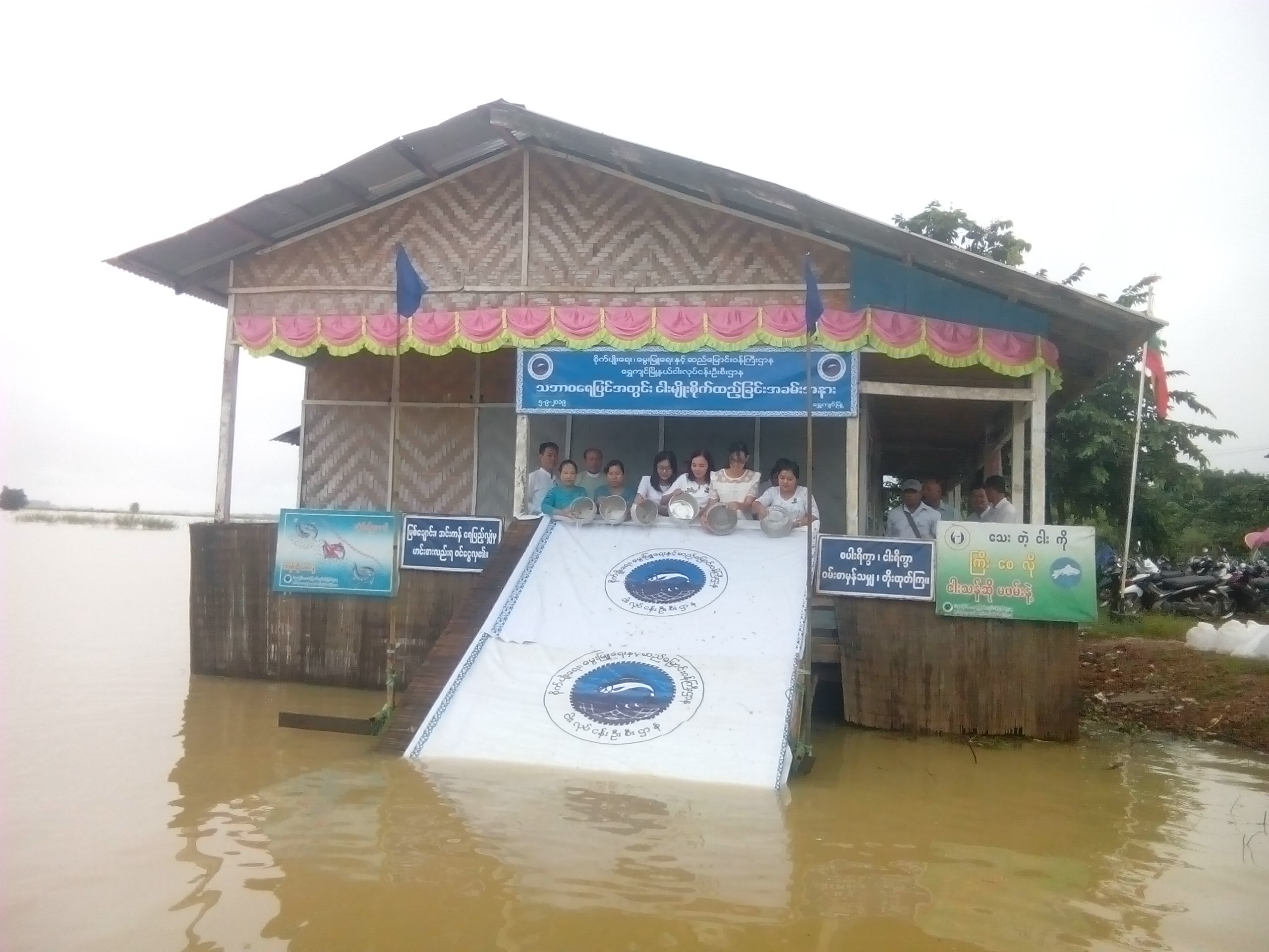 Fingerling fishes sow into creek in Shwe Kyin Tsp | Myanmar Digital News